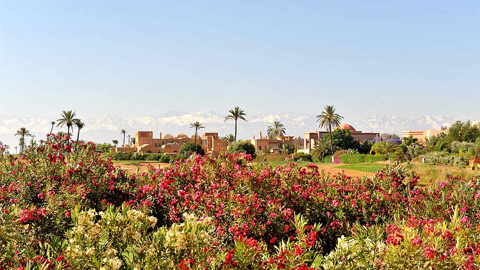 Location de villas et de riads de vacances à Marrakech | Villanovo
